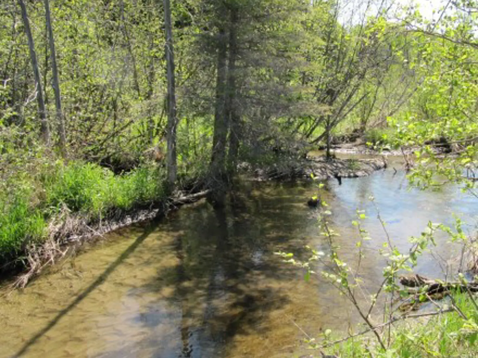 Discover Kawartha Conservation Areas | Trails & Nature